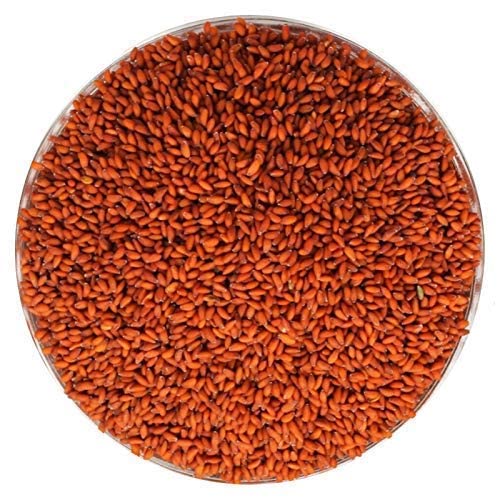 Asaliya Seeds | Aliv Seeds | Garden Cress | Haleem Seeds. (500 gm ...