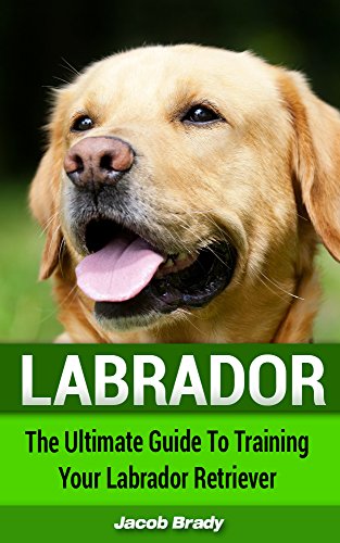 How To Train Your Labrador Retriever Book