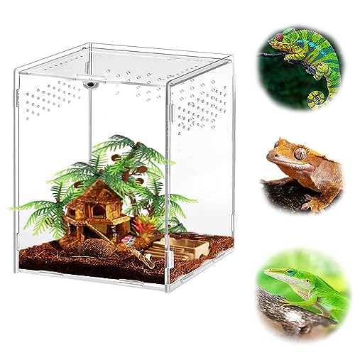 Compra terrarios para insectos Online - Aquí tienes los TOP 25 Más Vendidos