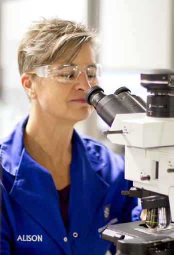 Amazon.co.uk: Alison Lewis: books, biography, latest update