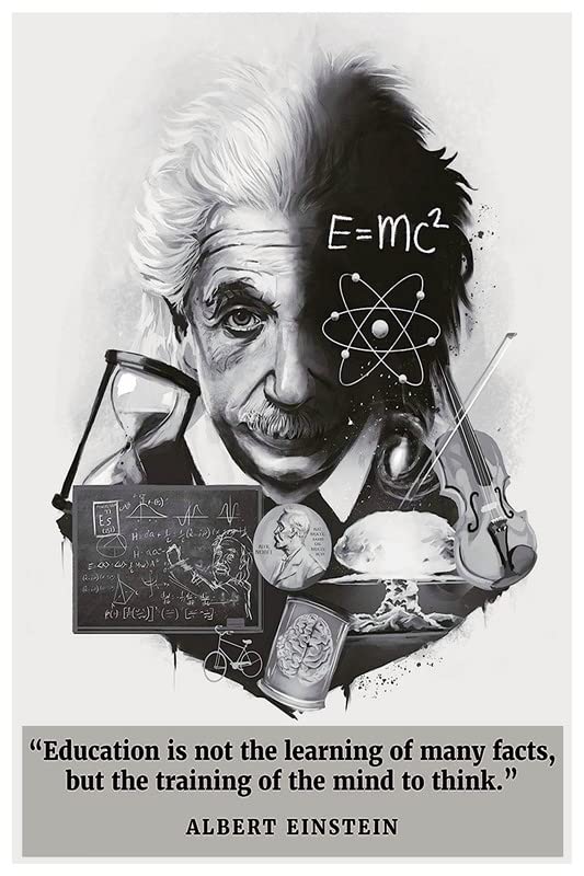 Green Panda Albert Einstein Genius Motivational Quotes Multicolour ...