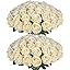 Amazon.com: Jefuzh 50 PCS Fake Champagne Roses, Artificial Flowers Bulk ...