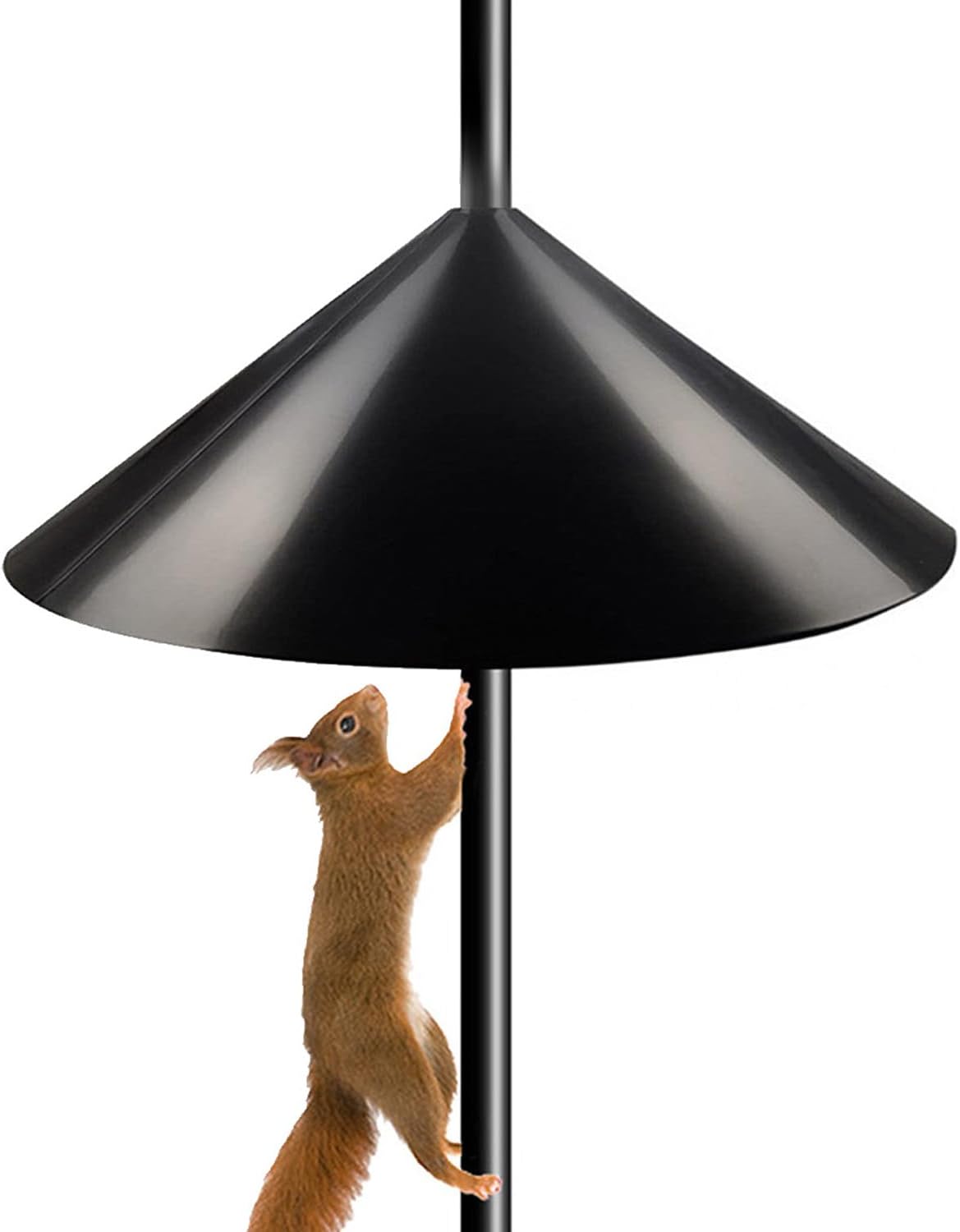 Amazon.com : 19 Inch Squirrel Baffle for Bird Feeder Pole, Outside Pole ...