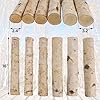 Amazon.com: Prsildan 6 Pack White Birch Logs for Fake Fireplace ...