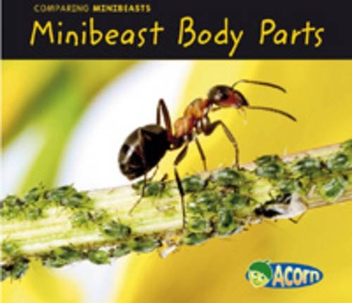 Minibeast Body Parts (Comparing Minibeasts): Amazon.co.uk: Charlotte ...