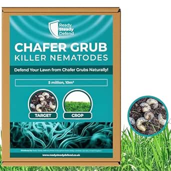 Chafer Grub Killer Nematodes 10 m² (5 million) - Natural Beneficial Nematodes for Lawn ...