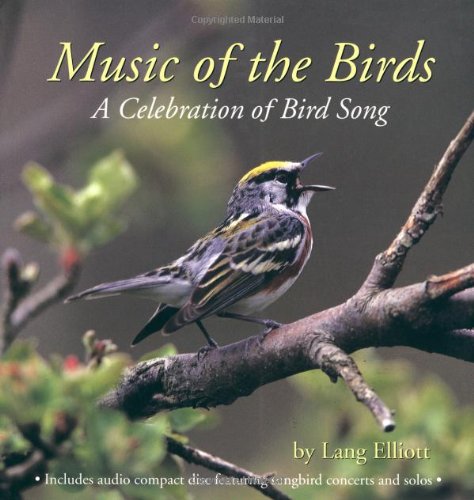 10 Best Music for Birds [2025]