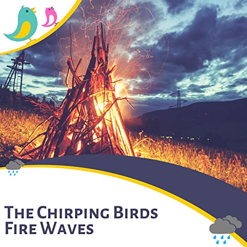 The Chirping Birds Fire Waves de VARIOUS ARTISTS no Amazon Music Unlimited
