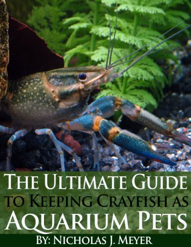 The Ultimate Guide to Keeping Crayfish as Aquarium Pets - Kindle ...