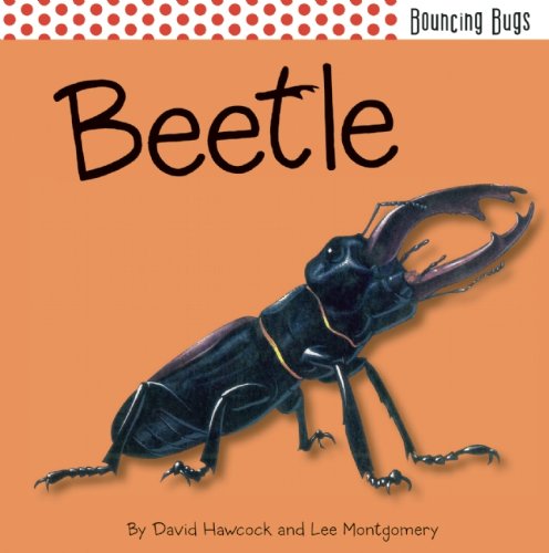 Amazon | Beetle (Bouncing Bugs) | Hawcock, David, Montgomery, Lee ...
