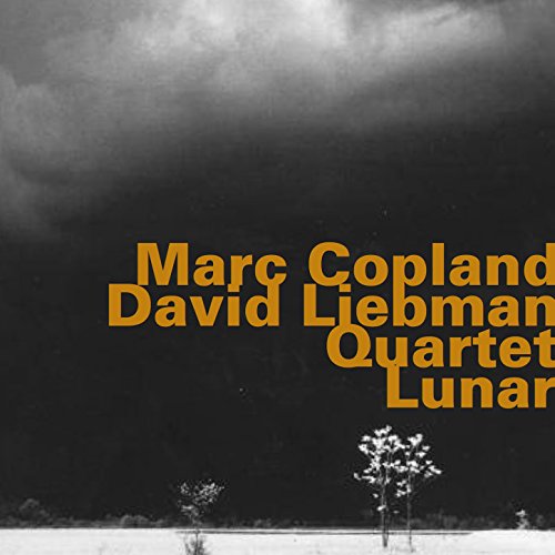 Play Marc Coplan - David Liebman Quartet: Lunar by Marc Copland & David ...
