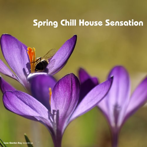 Amazon.com: Spring Chill House Sensation : VARIOUS ARTISTS: Digital Music