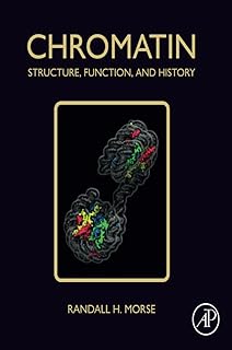 The Chromatin Structure: Dna, Rna, And Protein Storage | MedShun