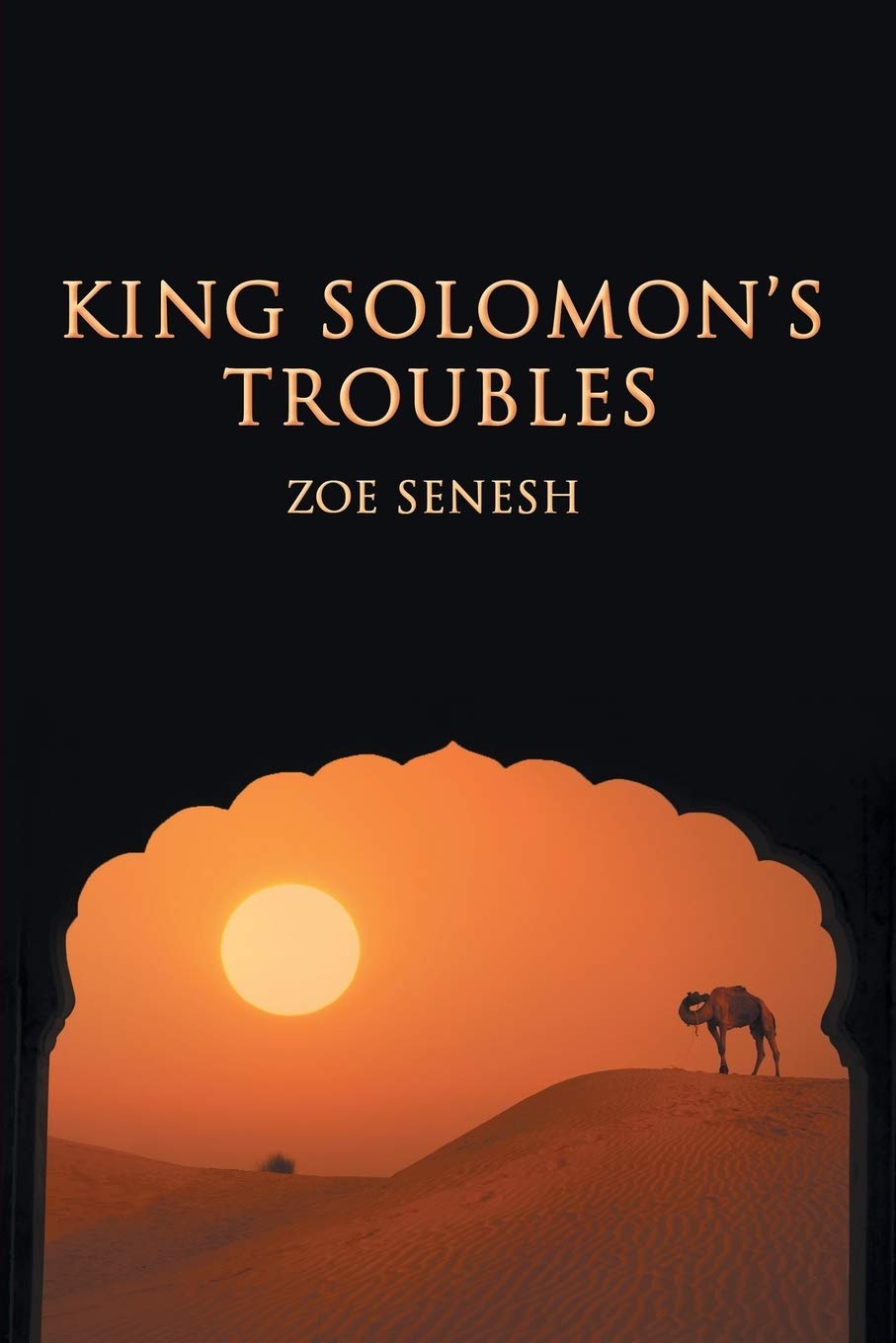 King Solomon’s Troubles: Senesh, Zoe: 9781475986389: Amazon.com: Books
