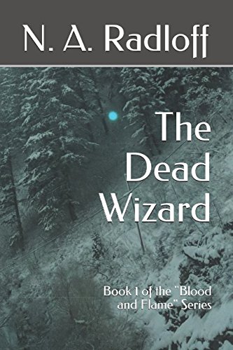 The Dead Wizard: Book 1 of the "Blood and Flame" Series: Radloff, N. A ...
