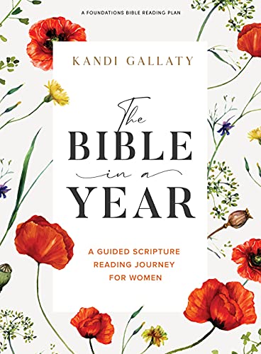 Amazon Best Sellers: Best Christian Bible Study Guides