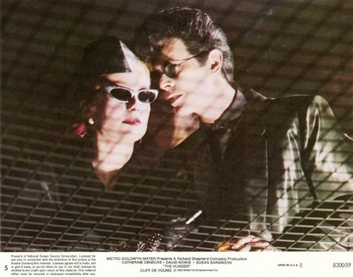 The Hunger Poster Movie 1983 Style E 11 X 14 | Desertcart Bahamas