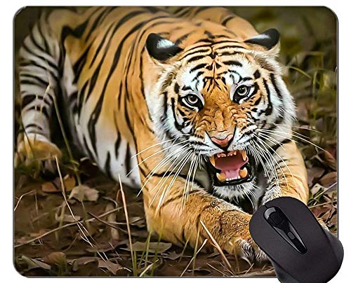 MIKKA Tiger Playing in Water Gaming Mouse Pad,Angry Mouse Pads 5572 ...