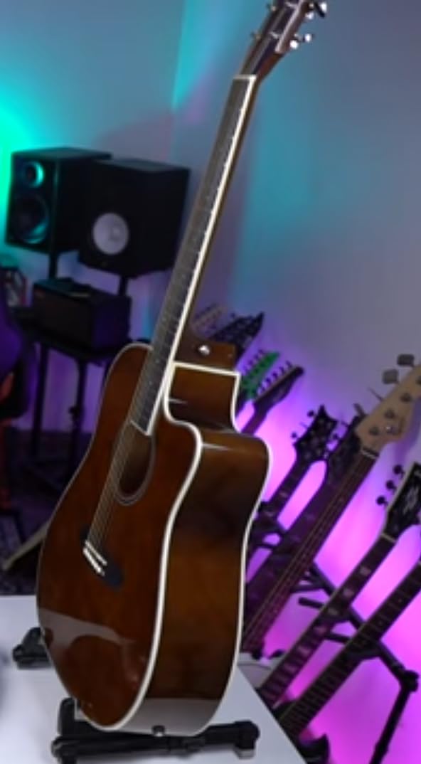 Neowood (FLY-DCM-CF) Dreadnought Cutaway Acoustic Guitar With Matt ...