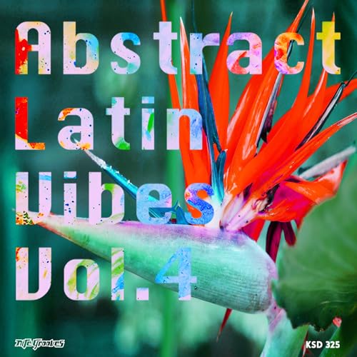 Amazon.com: Abstract Latin Vibes, Vol. 4 : VARIOUS ARTISTS: Digital Music