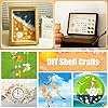 Amazon.com: WEOXPR Mixed Sea Shells, 100+ Pcs Beach Seashells Starfish ...