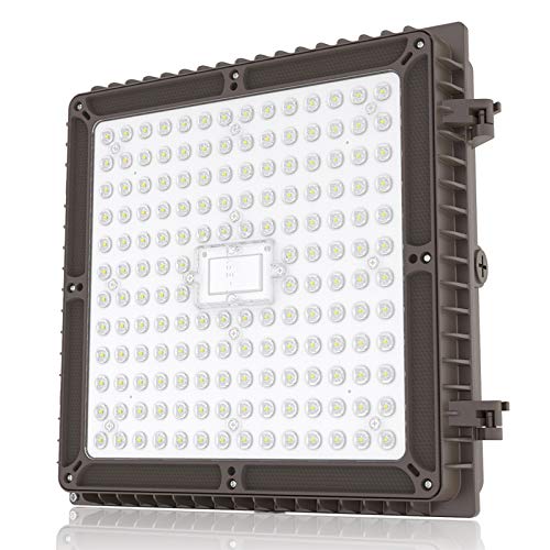 Snapklik.com : 100W LED Canopy Light,0-10V Dimmable 13000LM Canopy ...