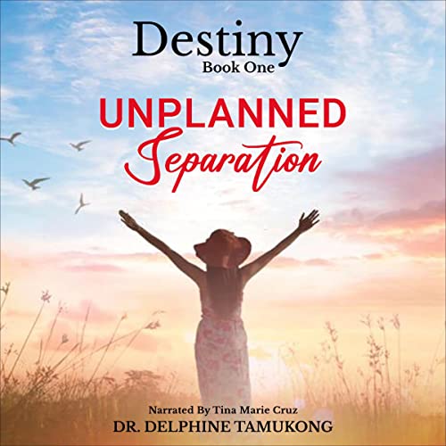 Amazon.com: Destiny: Unplanned Separation, Book 1 (Audible Audio ...