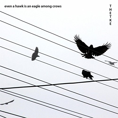 Amazon.com: Even a Hawk Is an Eagle Among Crows [Explicit] : The Ted ...