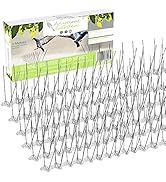 Amazon.com : Bird Spikes - Pigeon Spikes - Bird Deterrent Spikes ...