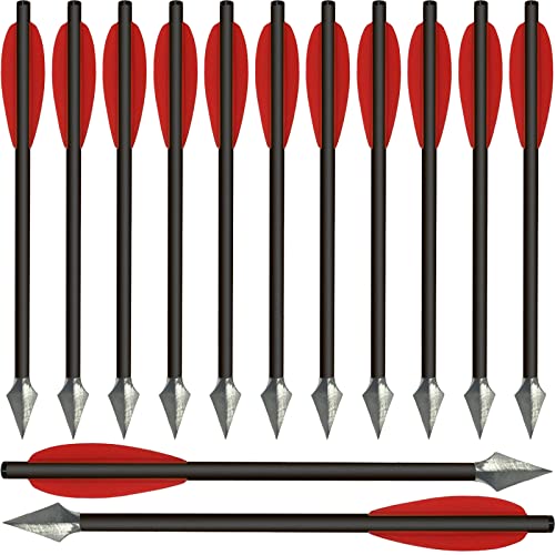 Carbon Pfeile – Die 15 besten Produkte im Vergleich - Ruegeninsel