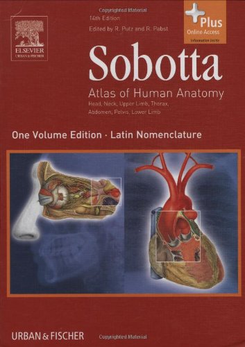 Sobotta - Atlas of Human Anatomy one volume edition: Head, Neck, Upper ...