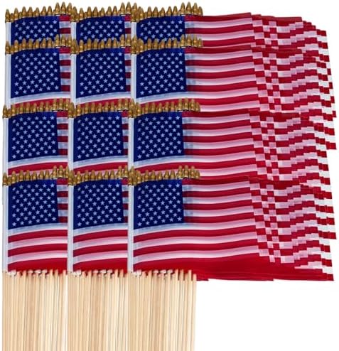 Amazon.com : 210 Pcs 12x18 Inch Small American Flags on Stick - Mini ...