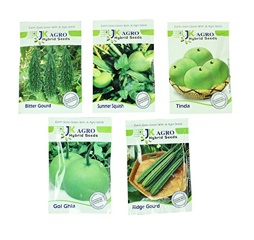 5 Variety Deluxe JK Agro Vegetable Seeds Create a Deluxe Garden (5 ...