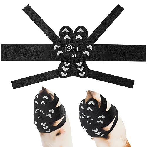 Paw Grips for Dogs – The 15 best products compared - Wild Explained