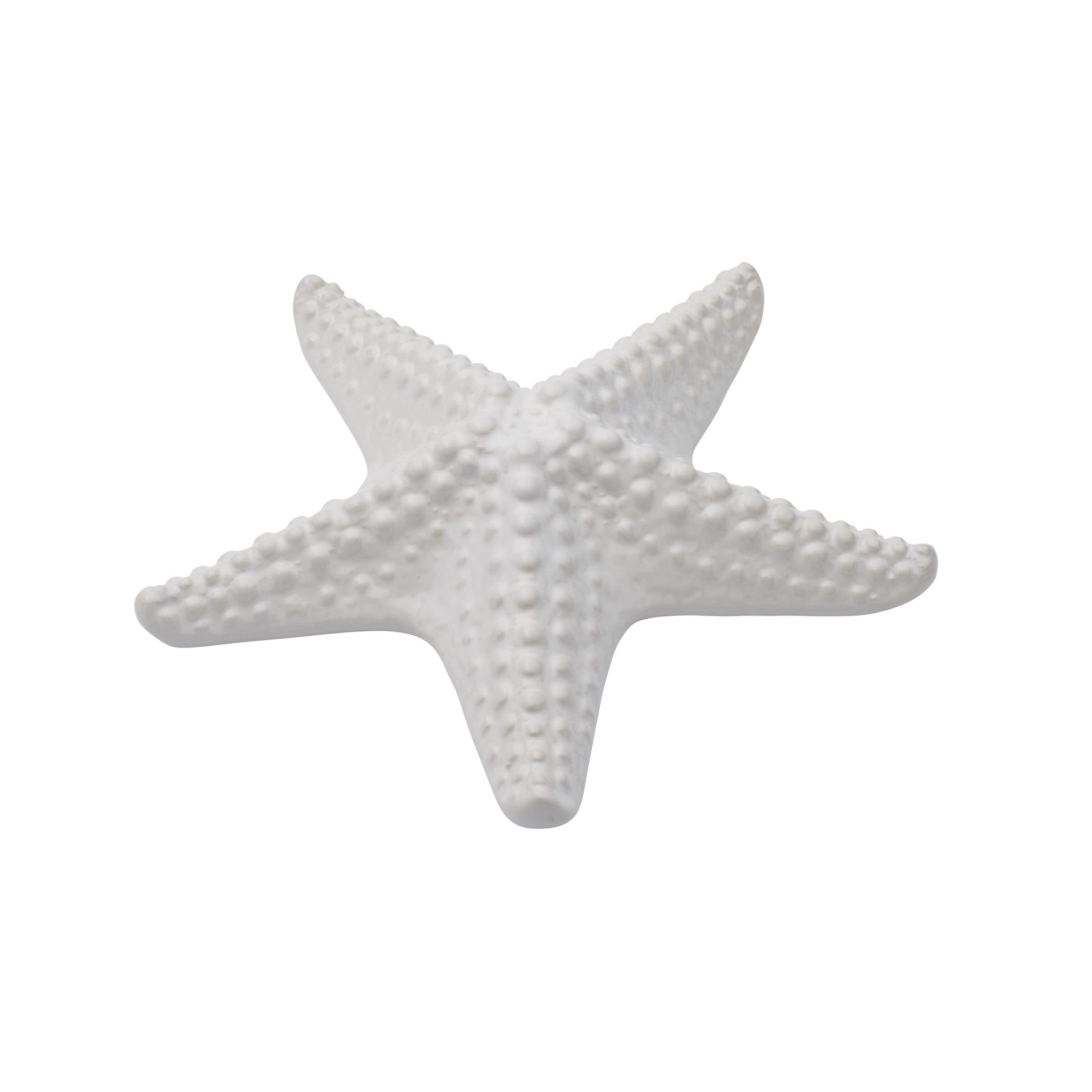Amazon.com: Fitz and Floyd Fitz & Floyd Coastal Home Starfish Figurine ...