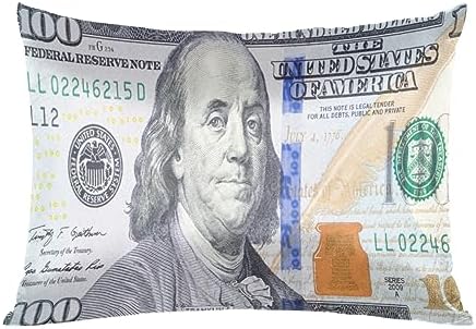 Amazon.com: Money Body Pillow Cover 100 Dollar Bill USA Money Funny ...