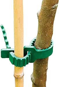 Amazon.com : 8 PCS Tree Stake Support Bands, Heavy Duty Adjustable ...