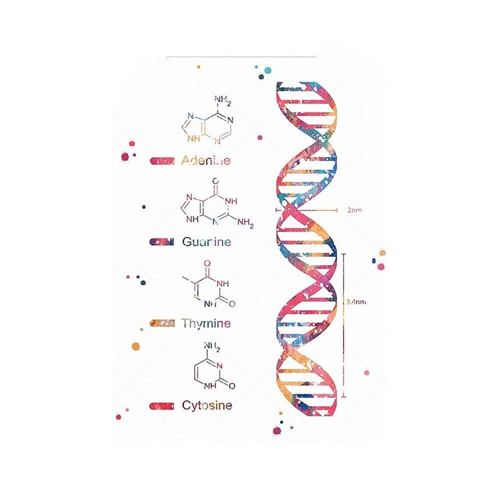 Genetic Code Drawing