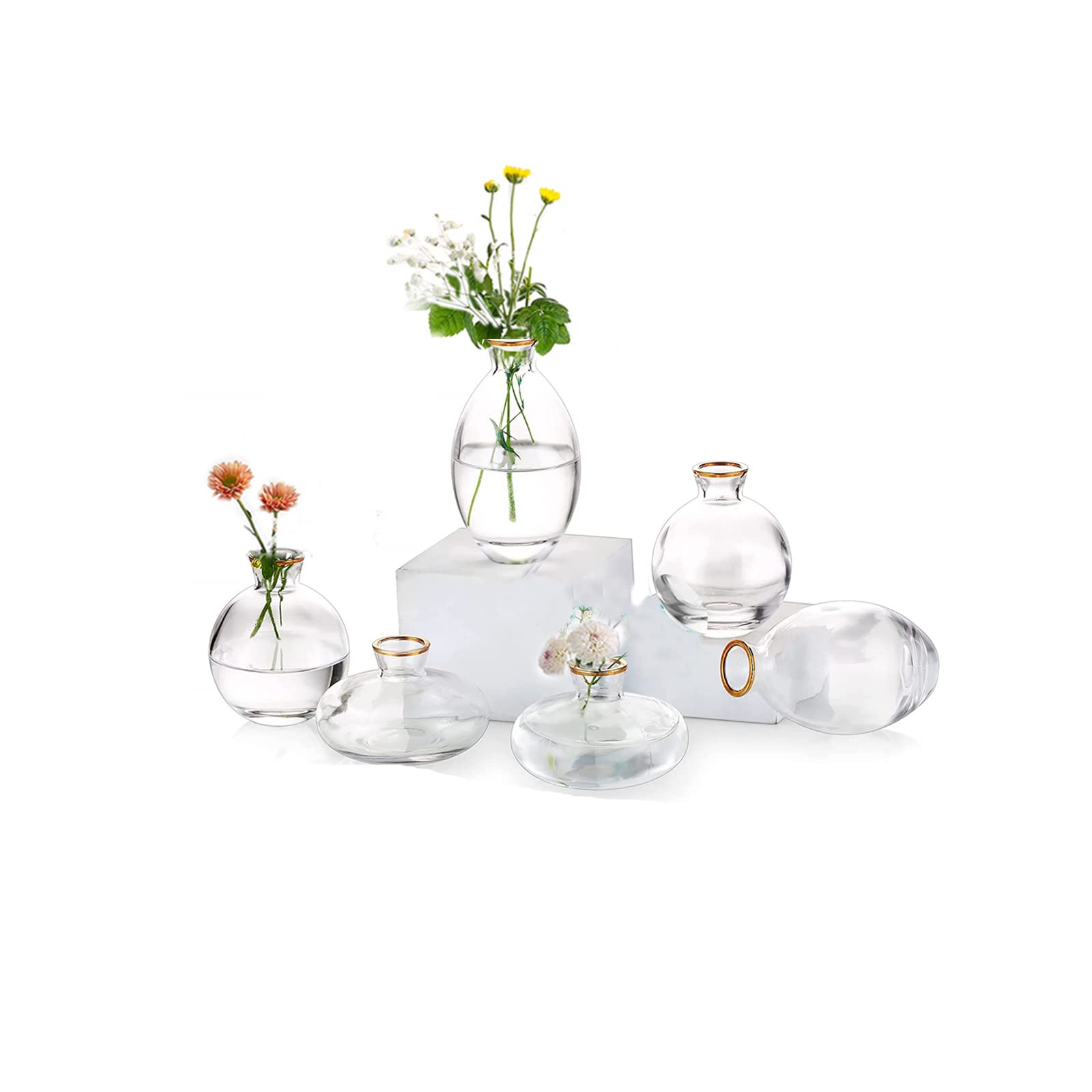 Amazon.com: Small Vases for Centerpieces Glass Esmiome - Clear with ...