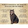 Funny Tabby Cat House Rules Metal wall sign. 20 x 15cm : Amazon.co.uk