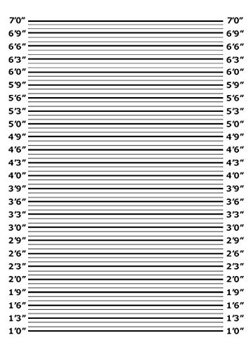 Mugshot Backdrop For Picture 5x7ft Police Lineup Prison Mug Shots Photography Background mugshot-backdrop-for-picture-5x7ft-police-lineup-prison-mug-shots-photography-background