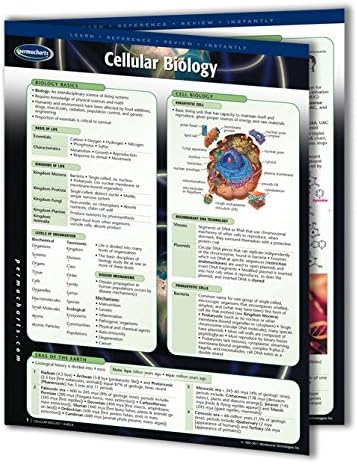 Amazon.com : Cellular Anatomy Guide - 2-page, 8.5" x 11" Laminated ...