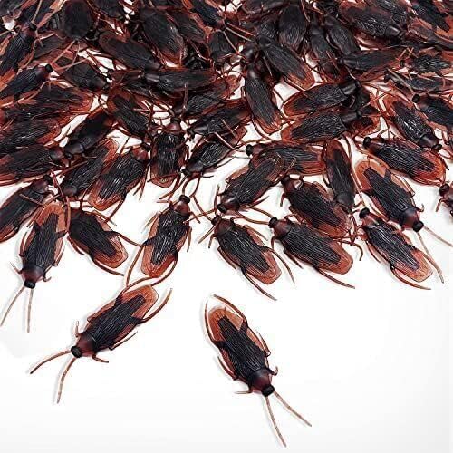 Amazon.com: Ksquares Prank Fake Roaches, Favorite Trick Joke Toys Look ...