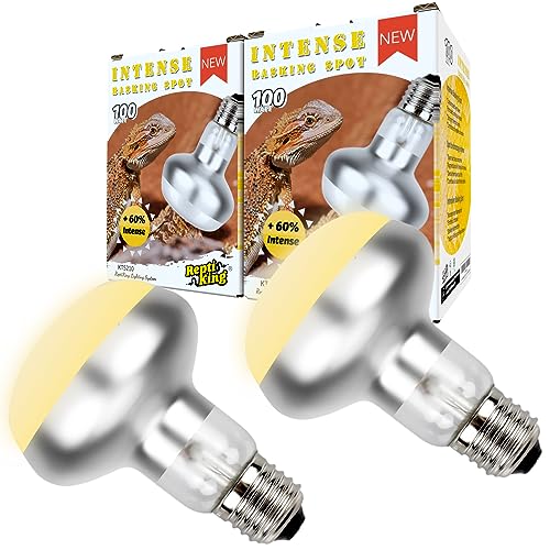 Top 10 Best Basking Light For Tortoise : Reviews & Buying Guide - Katynel