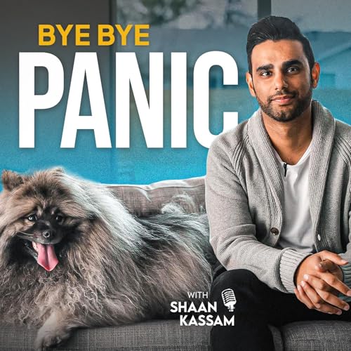 Amazon.com: Bye Bye Panic : Shaan Kassam: Audible Books & Originals