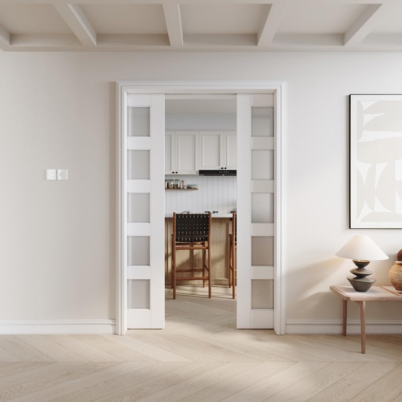 Alli-Inclusive Sliding Pocket Door 48" x 80" (Double 24x 80) 5-Lite ...