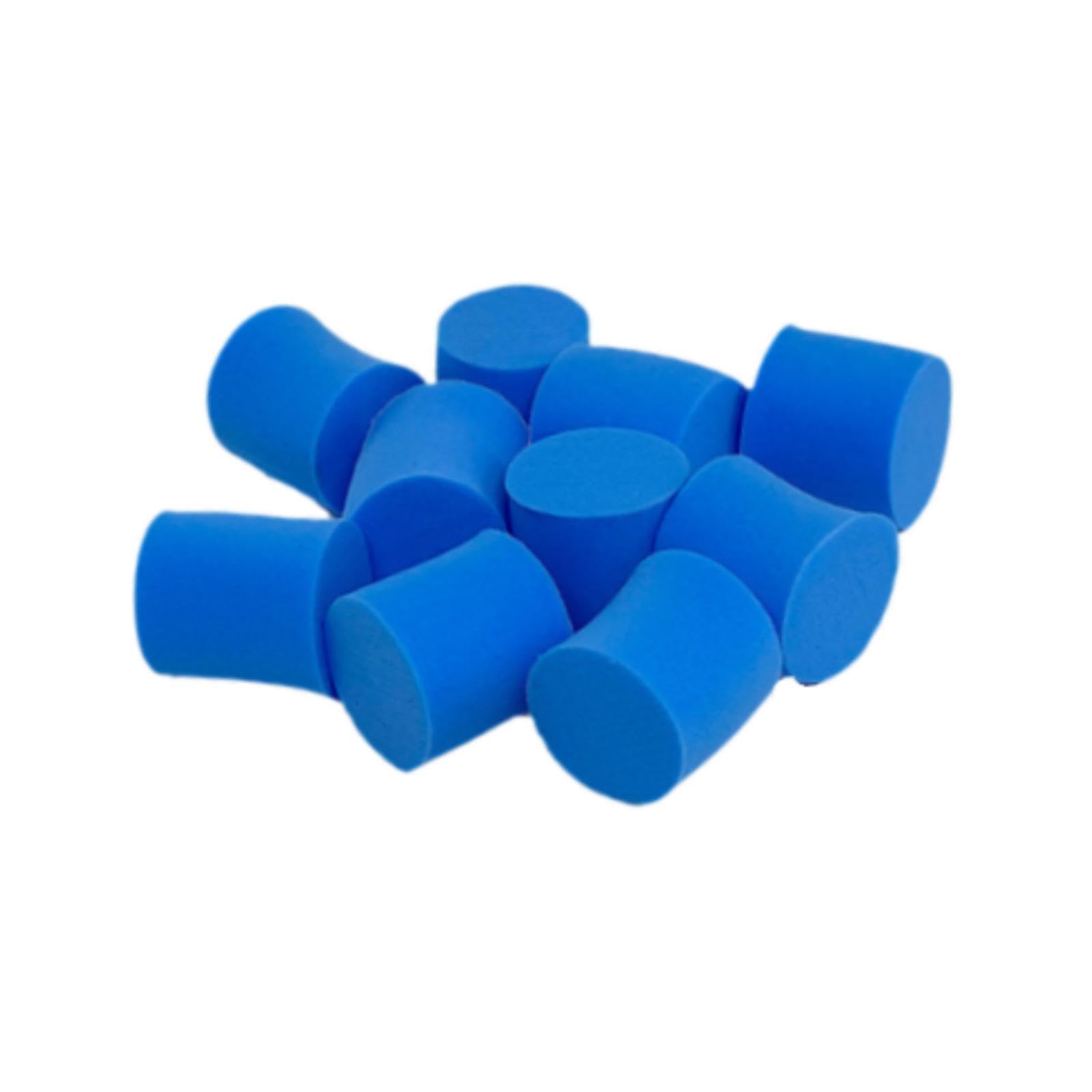 Amazon.com: MYCENSE 10Pcs ANT Habitat ANT Farm Test Tube Sponge Plug ...