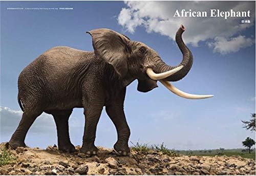 Amazon.com: PNSO African Elephant Wild Life Realistic Large Model Toy ...