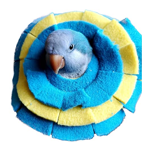 Amazon.com: Soft Bird Collar for Sun Conure and Quaker Parrot ...