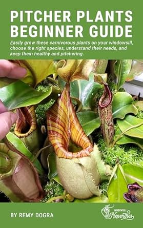 Pitcher Plants Beginner Guide: Easily grow these carnivorous plants on ...